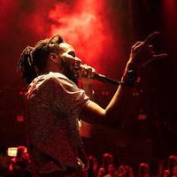 Peters Shotgun | Soul Artists